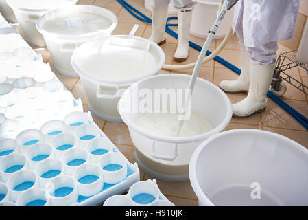 Camembert soft cheese production factory Stock Photo - Alamy