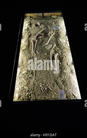 Lean and dried bones of a dead body in a grave Stock Photo - Alamy