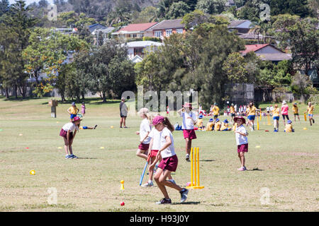 Children play cricket on a field at dusk in Srimongol, the tea Stock ...