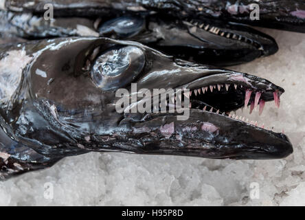 Black Scabbard Fish (Espada) in Funchal Fish Market, Madeira Stock ...