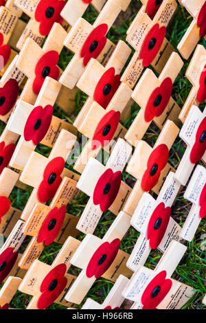 Remembrance Sunday, London, England, U.K Stock Photo - Alamy