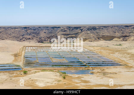 Traditional sea salt farming in square pools at Angola's Namib Desert ...