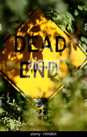 Dead End sign in the woods of North Ontario, Canada Stock Photo - Alamy
