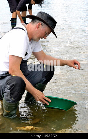 Man panning for gold nuggets in river near Wanlockhead in the Lead ...
