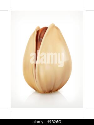 Pistachio icon. Realistic illustration of pistachio vector icon for on ...
