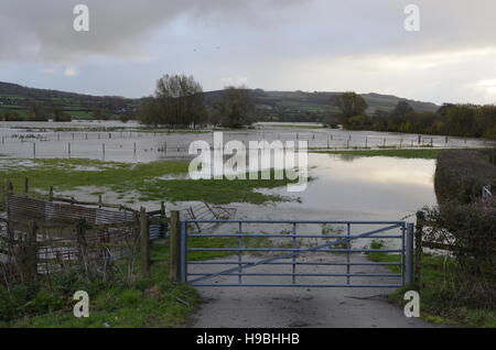 Axminster, Devon, UK. 21st Nov, 2016. UK Weather. Drivers risking going ...