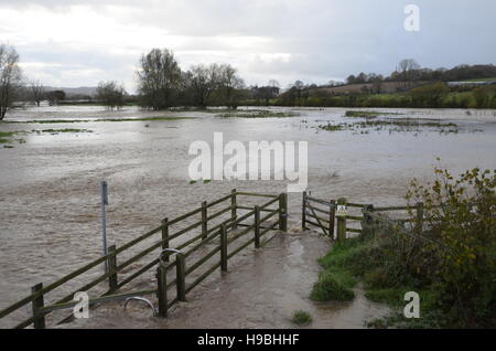 Axminster, Devon, UK. 21st Nov, 2016. UK Weather. A view of the River ...