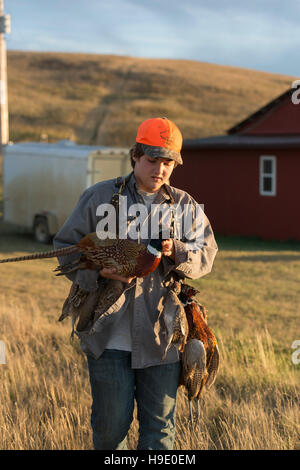 A pheasant hunter in North Dakota Stock Photo - Alamy