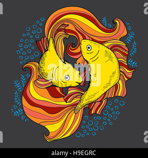 Goldfish drawing. Gold fish engraving or vector vintage sketch isolated ...