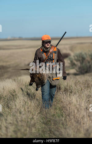 A pheasant hunter in North Dakota Stock Photo - Alamy