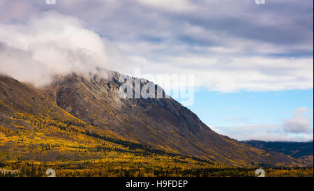 Scenic landscape surrounding Nares Lake near Carcross, Yukon, Canada ...