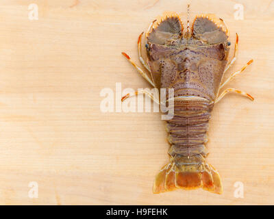 Flathead lobster, Lobster Moreton Bay bug, Oriental flathead lob Stock ...