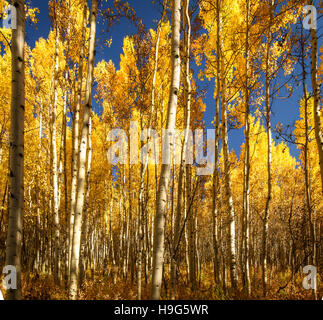 Marble buildings in the town of Marble, Colorado, USA Stock Photo - Alamy