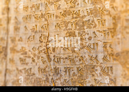 Persepolis, cuneiform inscription of Apadana ruins, capital of ...