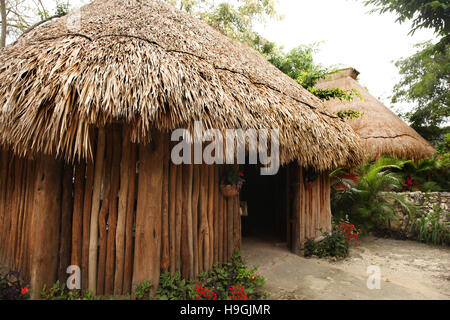 Traditional thatched house / hut with palapa roof of indigenous Maya ...