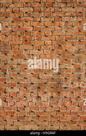 Growing loops in a red brick wall surrounding a walled garden Stock ...