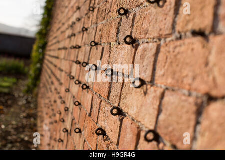 Growing loops in a red brick wall surrounding a walled garden Stock ...