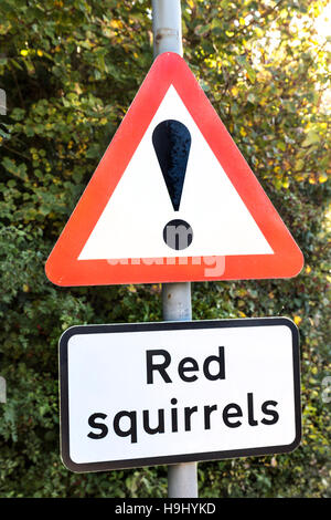 Red Squirrel warning sign. Isle of Wight Stock Photo - Alamy