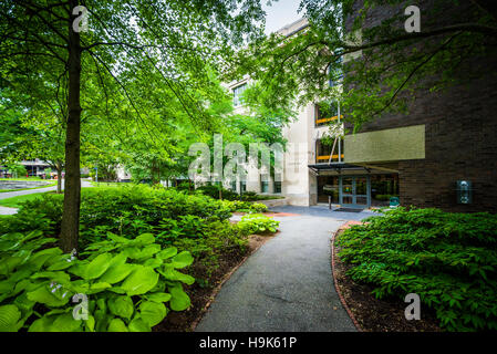 Areeda Hall, at Harvard University, in Cambridge, Massachusetts Stock ...
