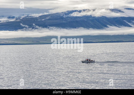 Reykir camp, Iceland, nature, seaside, mountains, volcanic area Stock ...