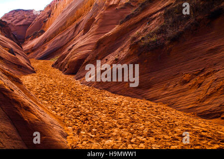 The red sand hill,Shaanxi Province,China Stock Photo - Alamy