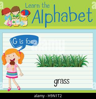 Flashcard letter G is for grass Stock Vector Image & Art - Alamy