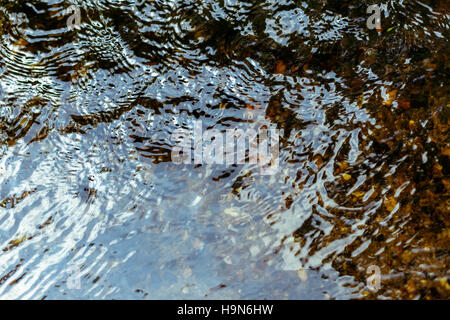 Abstract water texture of a shallow brook in the forest Stock Photo - Alamy