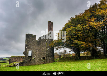 Burrow Hill Farm Somerset UK Julian Temperley Traditional cider apple ...