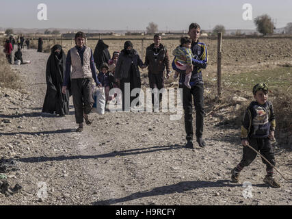 Mosul, Iraq. 24th Nov, 2016. Hammam Al-Alil, Nineveh Governorate, Iraq ...