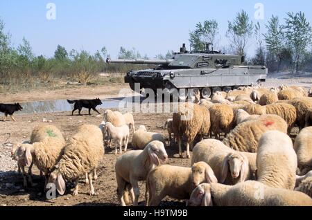Italian Army, Ariete heavy tank Stock Photo - Alamy