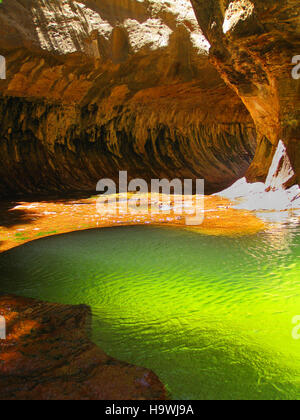 Hiking the Left Fork Trail to the Subway gorge, Zion National Park, USA ...