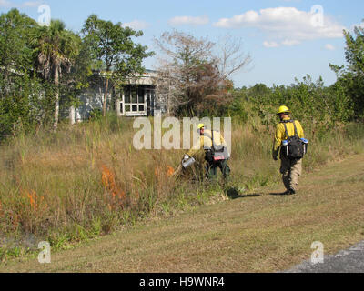 A prescribed fire conducted near park structures in the Everglades ...