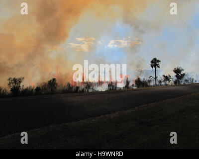 A prescribed fire is conducted near structures in Everglades National ...