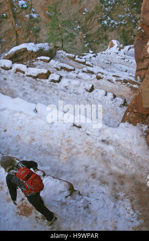 National Park Series-Zion National Park Stock Photo - Alamy