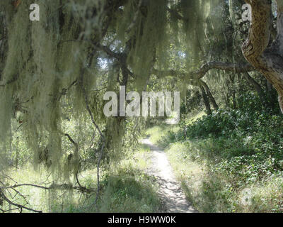 Fort Ord National Monument, California Stock Photo - Alamy