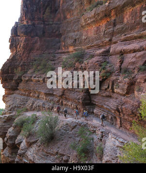 A scenic trail through the Kaibab Limestone in Grand Canyon National ...
