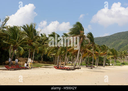 Beach of Hotel Park Hyatt Sanya, Sunny Bay Resort, Hainan island, China ...