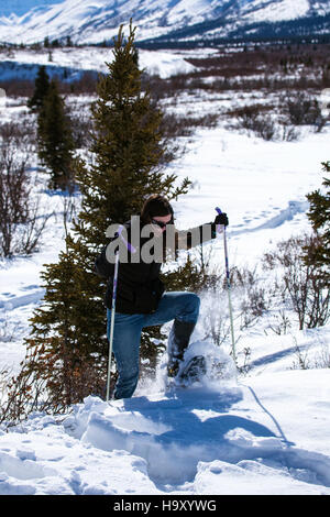 Visitors enjoy snowshoeing in Denali National Park, experiencing the ...