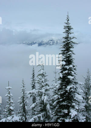 A scene from a national park, showcasing the natural beauty and diverse ...