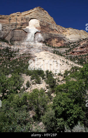This image showcases a prehistoric dinosaur fossil at a national park ...