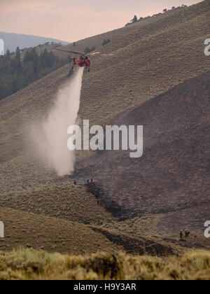This image depicts the aftermath of the Lodgepole Fire, showcasing the ...