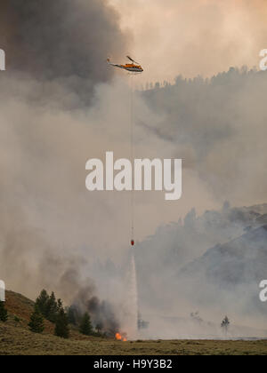 The Lodgepole Fire, part of a series of forest fires managed by the ...