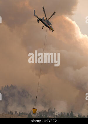 The Lodgepole Fire highlights ongoing efforts in forest fire management ...