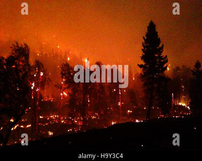 The image shows the aftermath of the Lodgepole Fire, a significant ...
