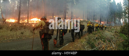 The 6-5 Fire burns across a road in the Chinese Camp community of ...