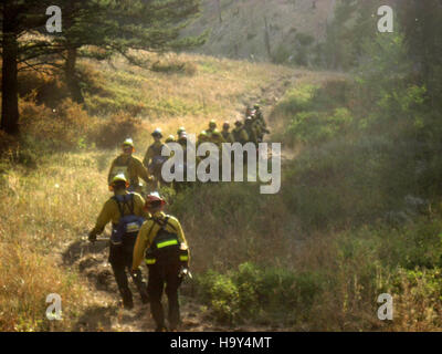 The Miner Paradise Complex Fire in 2013 significantly impacted forest ...