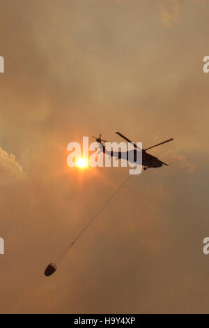 The Rim Fire, a significant forest fire in California, affected large ...