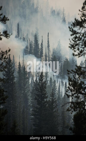 The Beaver Complex Wildlands Fire in Idaho is depicted here, showing ...