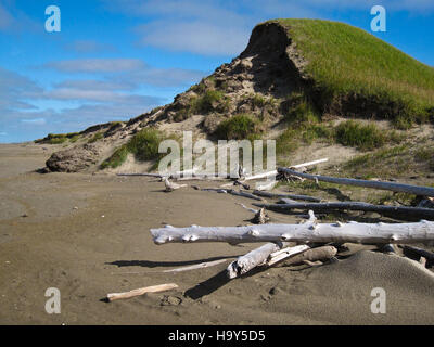 The Bering Land Bridge National Preserve showcases unique wildlife ...