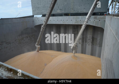 The USDA and the Stockyards Agency (GIPSA) oversee grain inspection for ...